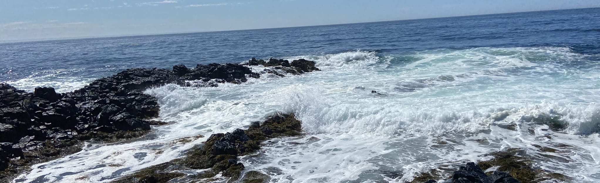 Brier Island East Coastal Trail | Map, Guide - Nova Scotia, Canada ...