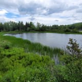 Magalloway River Trail, New Hampshire - 82 Reviews, Map | AllTrails