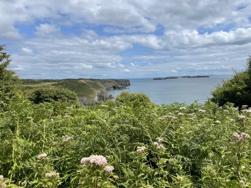 10 Best Trails, Walks, and Paths in Tenby | AllTrails