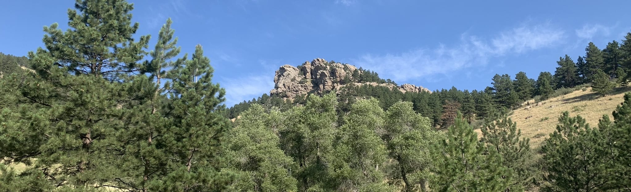 Lory State Park Loop Trail - Colorado | AllTrails