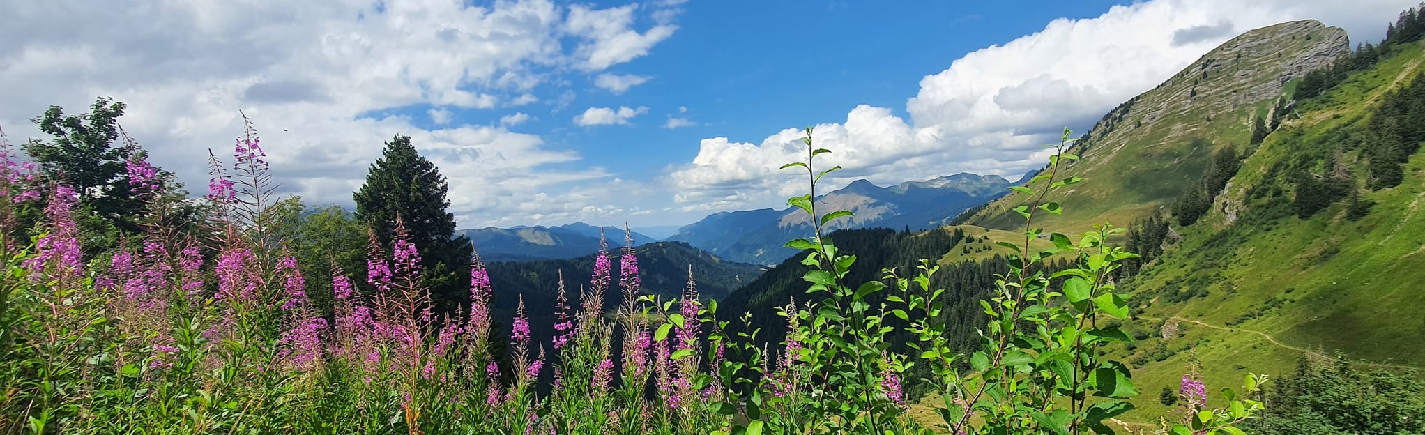 Les Gets, Col de Joux Plane, Lac de Nyon-Guérin Loop, Haute-Savoie ...