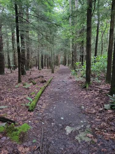 10 Best Trails and Hikes in Somerset | AllTrails