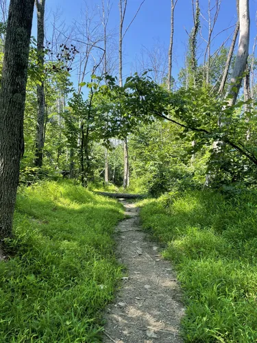 Best Hikes and Trails in G. Richard Thompson Wildlife Management Area ...