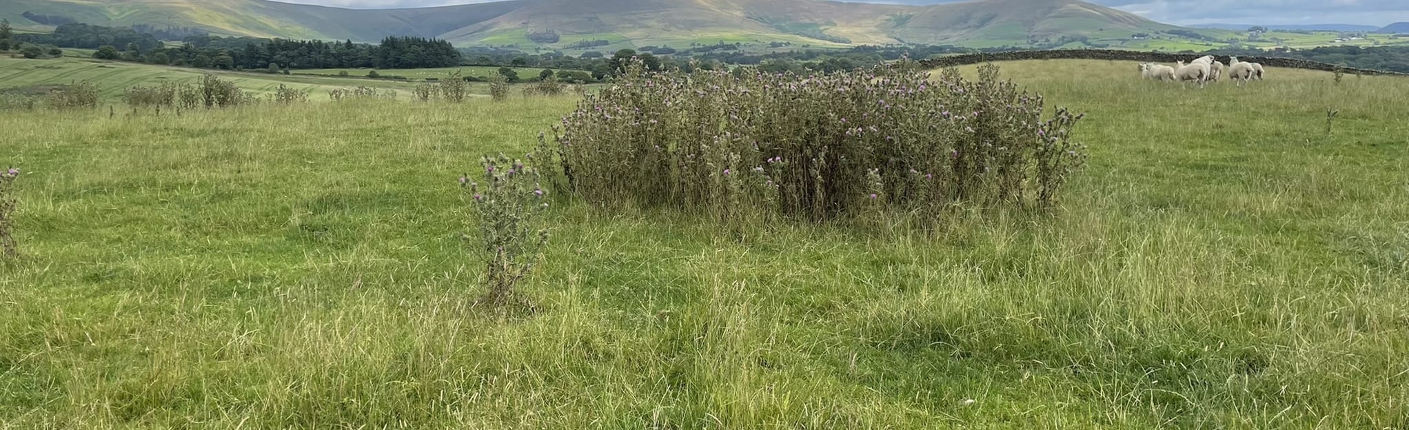 Garstang - Calder Vale Circular: 59 Reviews, Map - Lancashire, England ...