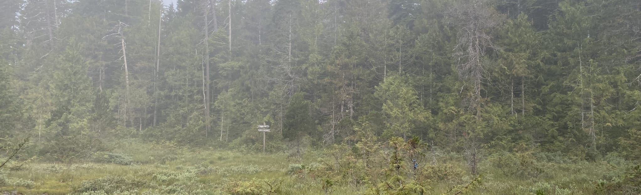 Songhees Lake Trail: 6 Reviews, Map - British Columbia, Canada | AllTrails