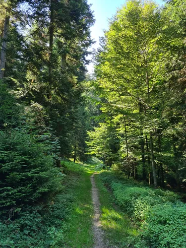 2023 Best Kid Friendly Trails in Luthern | AllTrails 2023 Best Kid Friendly Trails in Luthern | AllTrails