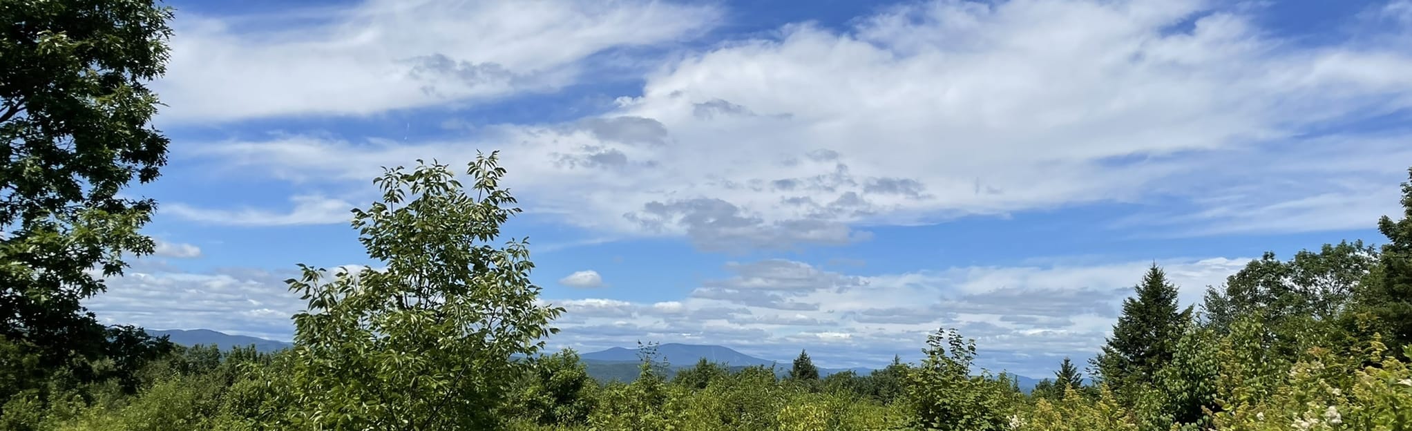 Putney Mountain Hawk Watch, Vermont - 258 Reviews, Map | AllTrails