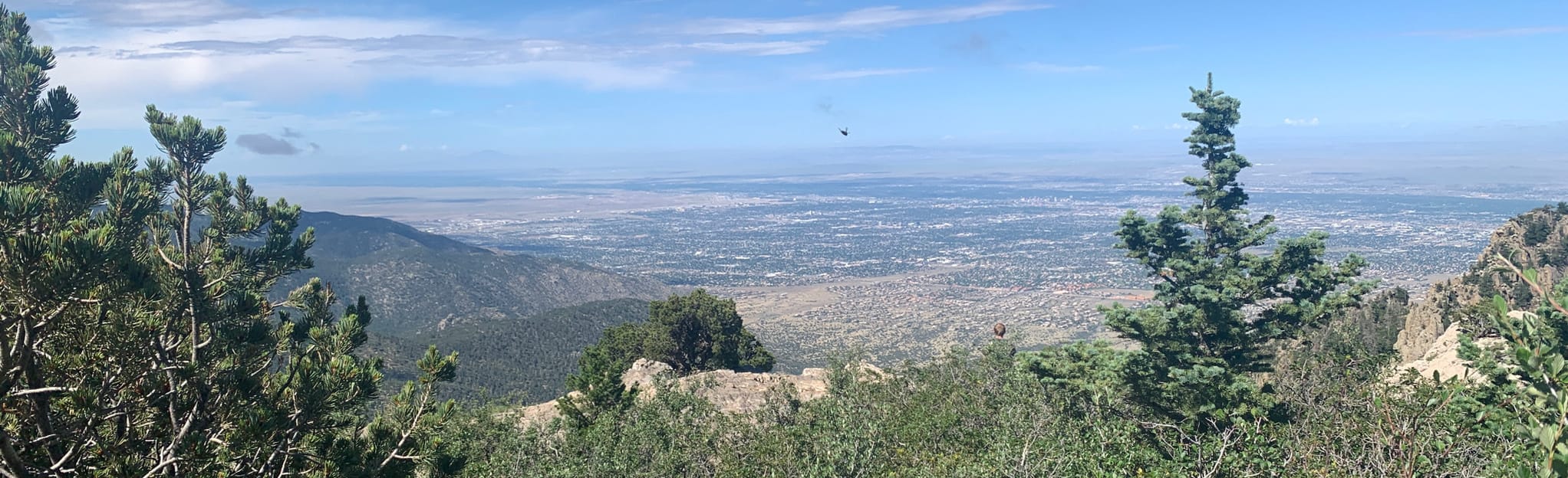 Tree Spring Trail: 1,284 Reviews, Map - New Mexico | AllTrails