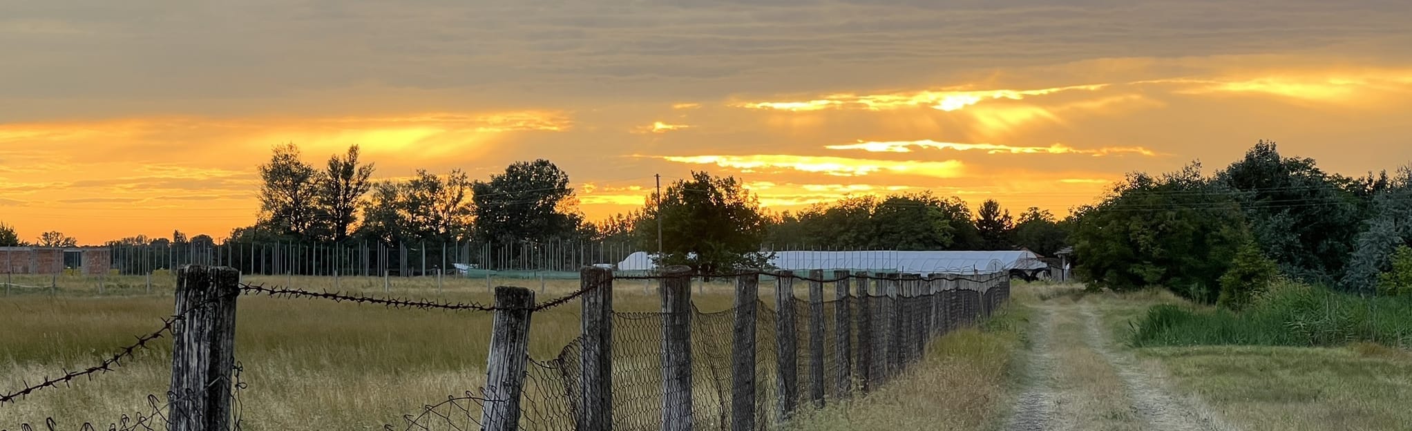 Szatymaz – Lake Fehér – Sándorfalva, Csongrád, Hungary - Map, Guide ...