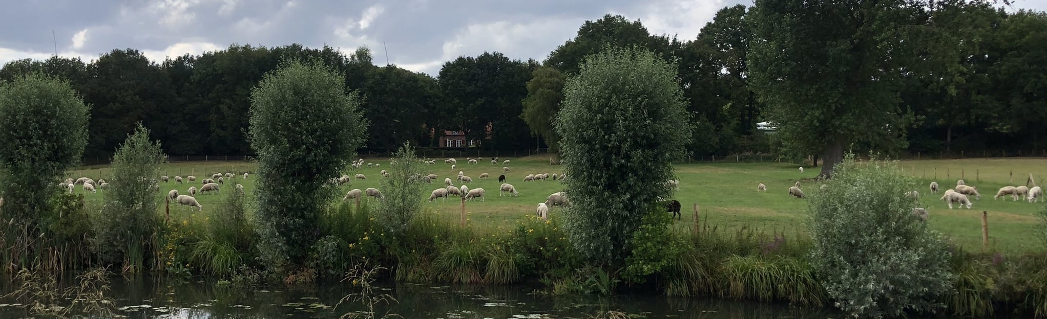 Elliptigo Den Rooy Mark Meersel Dreef, Antwerp, Belgium - Map, Guide ...