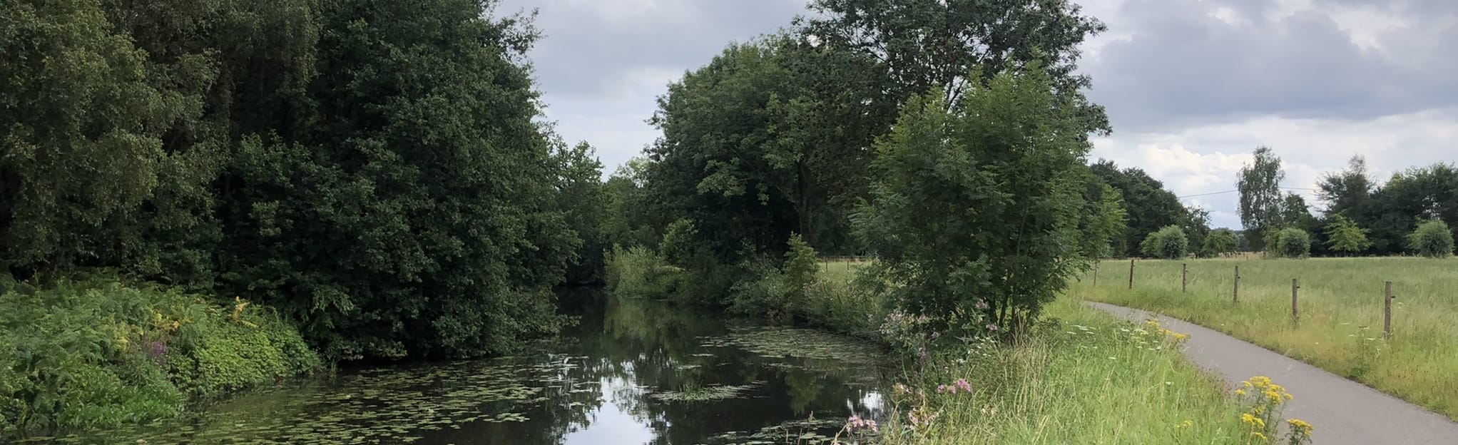 Meersel Dreef - Rommensbos, Antwerp, Belgium - 9 Reviews, Map | AllTrails