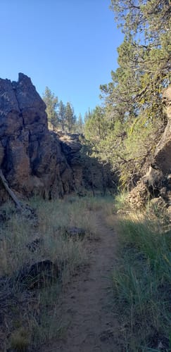 Best Hikes and Trails in Cline Buttes Recreation Area | AllTrails