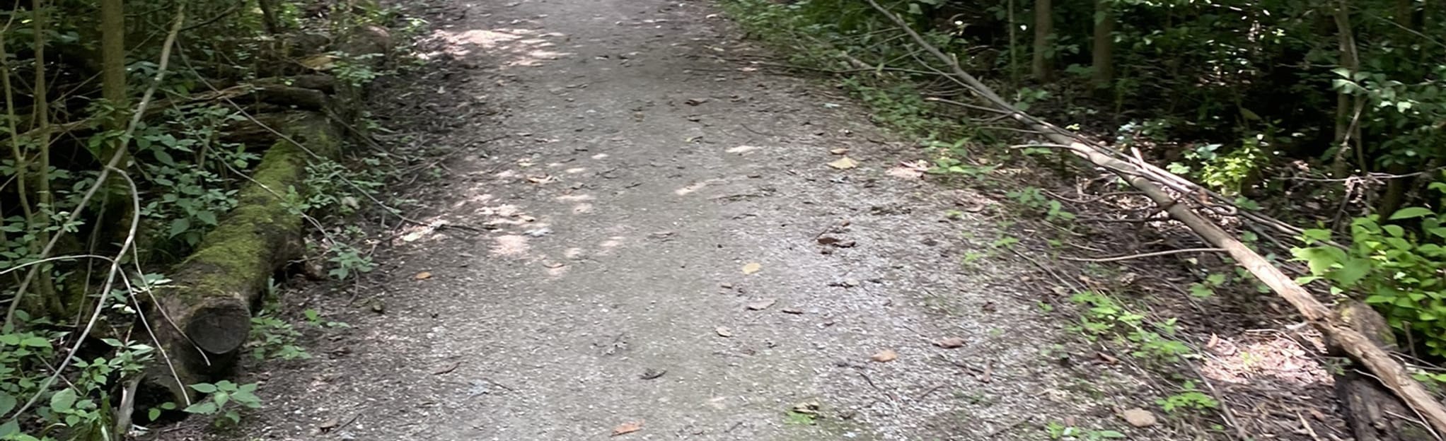 Devonwood Conservation Trail: 79 Reviews, Map - Ontario, Canada | AllTrails