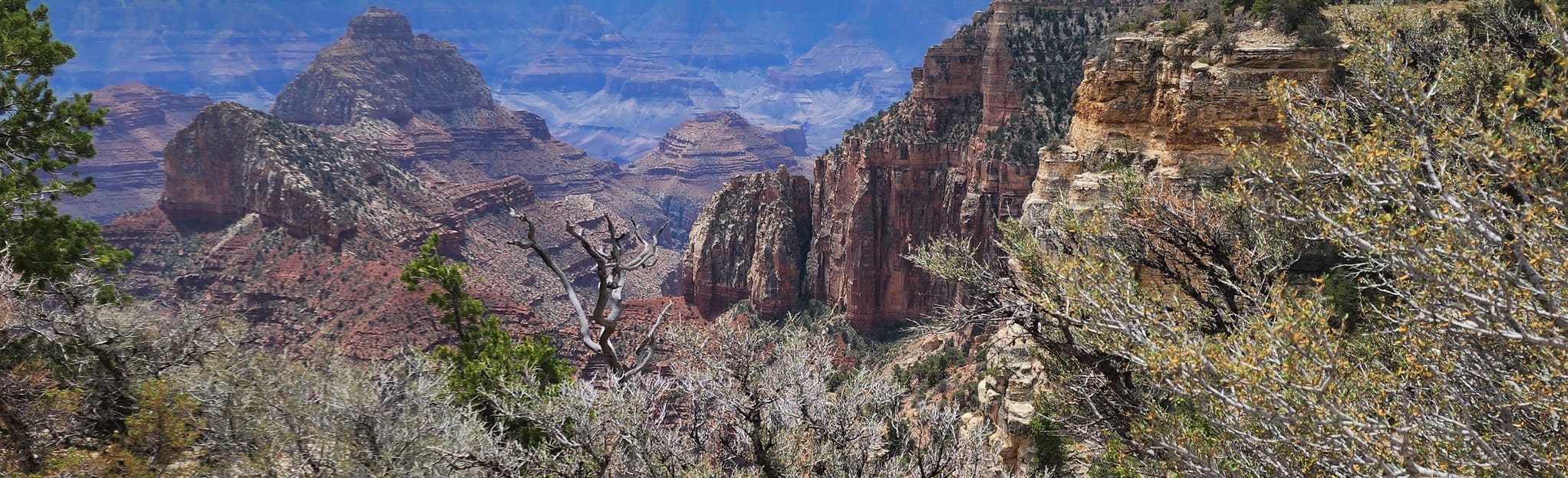 Walhalla Ruins, Arizona - 25 Reviews, Map | AllTrails