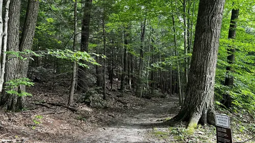 Best Hikes and Trails in The Clark Art Institute | AllTrails