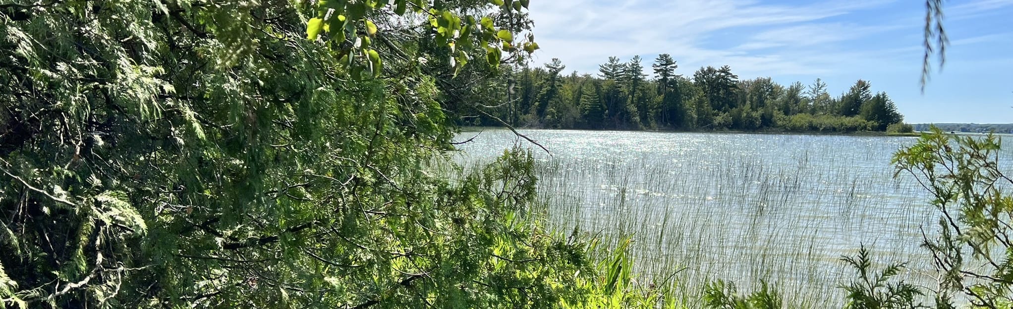 Oden Island Nature Preserve Loop: 49 Reviews, 88 Photos, Map - Michigan ...