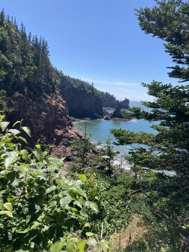 Best 10 Trails in Cape Chignecto Provincial Park | AllTrails