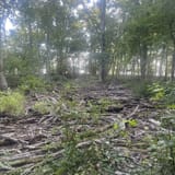 Eagle Point Trail, North Carolina - 216 Reviews, Map | AllTrails