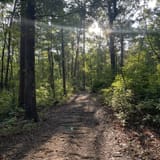 Eagle Point Trail, North Carolina - 216 Reviews, Map | AllTrails