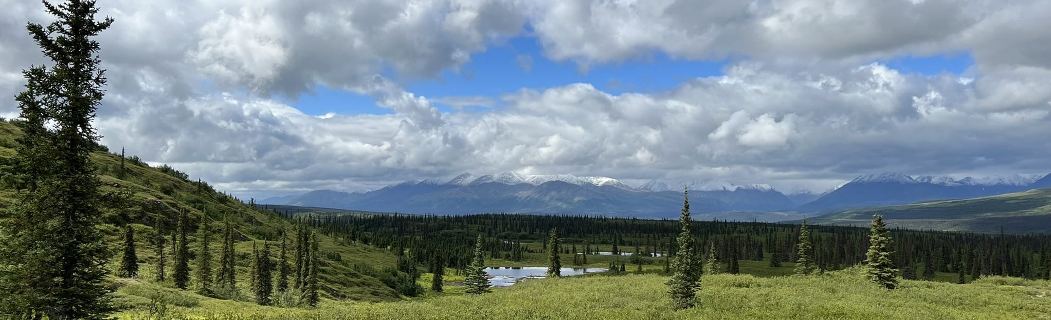 Wolf Point Trail: 38 Reviews, Map - Alaska | AllTrails