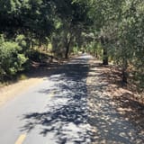 Ontario Ridge Trail via Sycamore Springs, California - 445 Reviews, Map ...