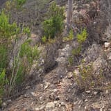 Ontario Ridge Trail via Sycamore Springs, California - 445 Reviews, Map ...