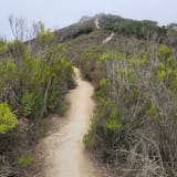 Ontario Ridge Trail via Sycamore Springs, California - 445 Reviews, Map ...