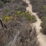 Ontario Ridge Trail via Sycamore Springs, California - 445 Reviews, Map ...