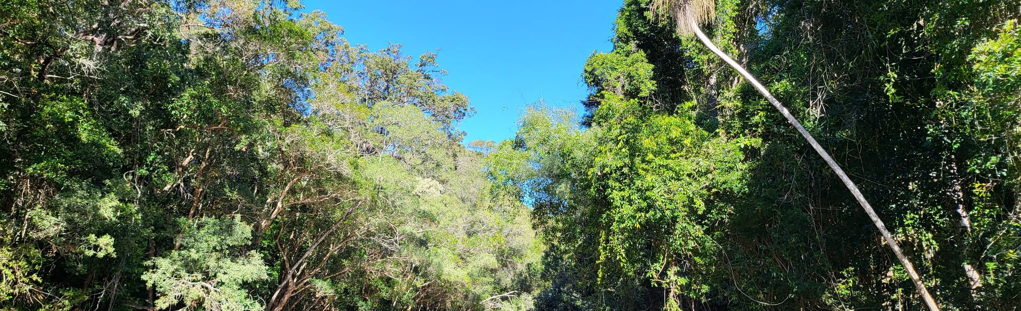 Fig Tree Point Campsite via Boronia Track Loop : 30 Photos - Queensland ...