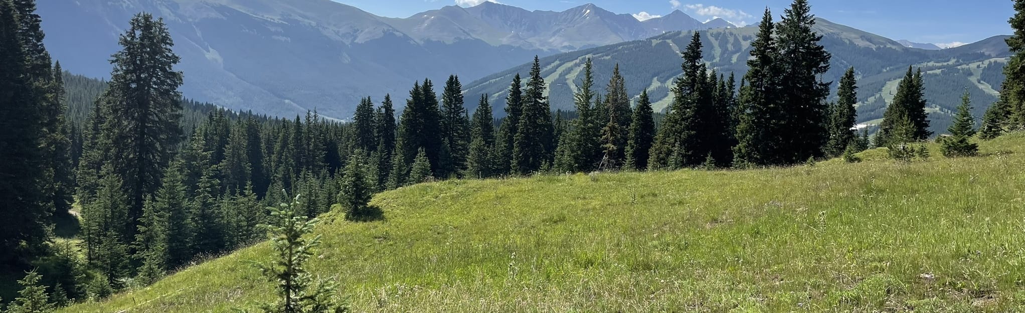 Gore Range Trail - Colorado | AllTrails