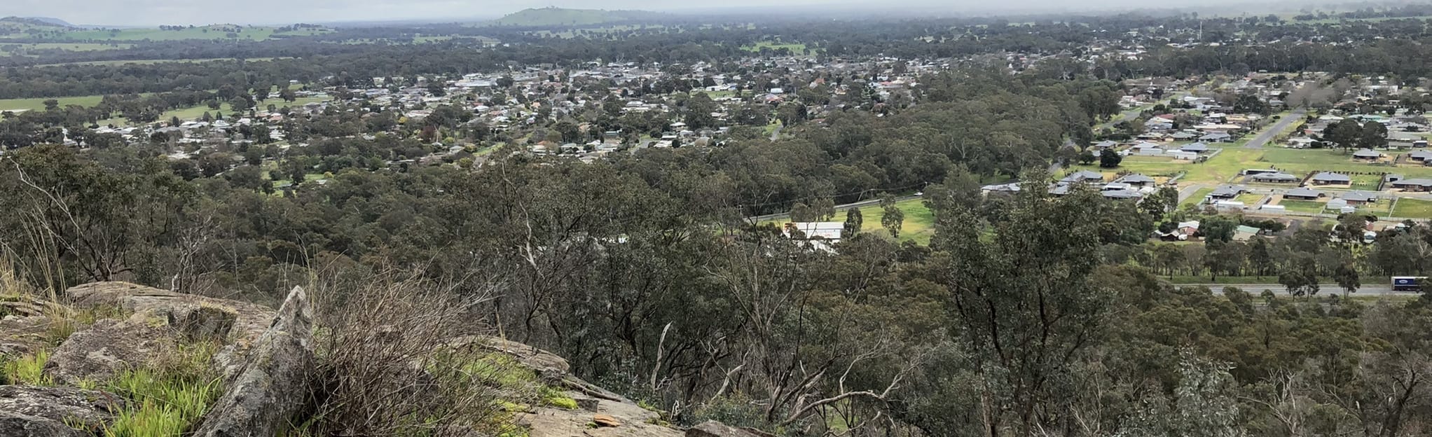 Balmattum Hill Loop: 15 Reviews, Map - Victoria, Australia | AllTrails