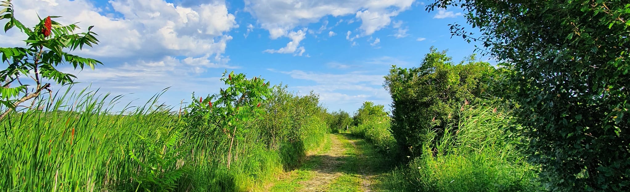 Wye Marsh Wildlife Centre Trails: 93 Reviews, Map - Ontario, Canada ...
