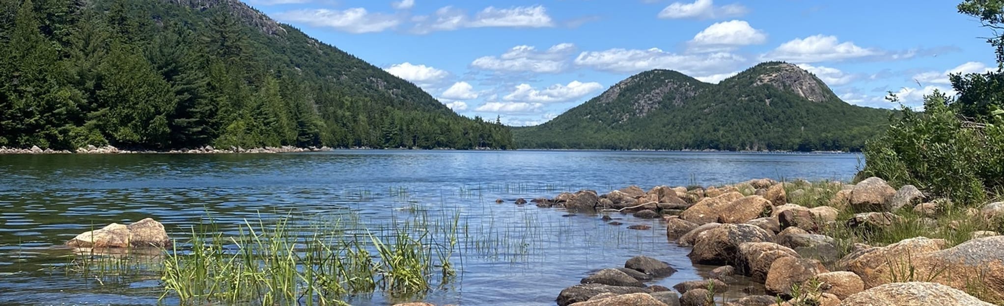Jordan Stream and Carriage Road Loop: 173 Reviews, Map - Maine | AllTrails