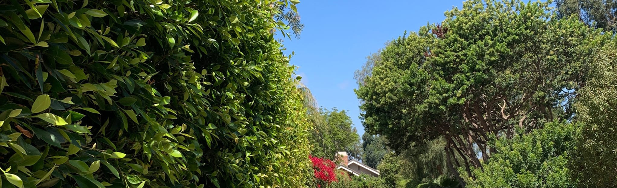 Las Posas Equestrian Trail: 101 Reviews, Map - California | AllTrails