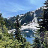 High Pass Trail, Washington - 147 Reviews, Map | AllTrails