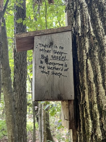 Best Hikes and Trails in Jericho Hill Recreation Area | AllTrails