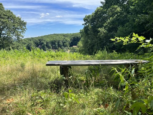 Best Hikes and Trails in Jericho Hill Recreation Area | AllTrails