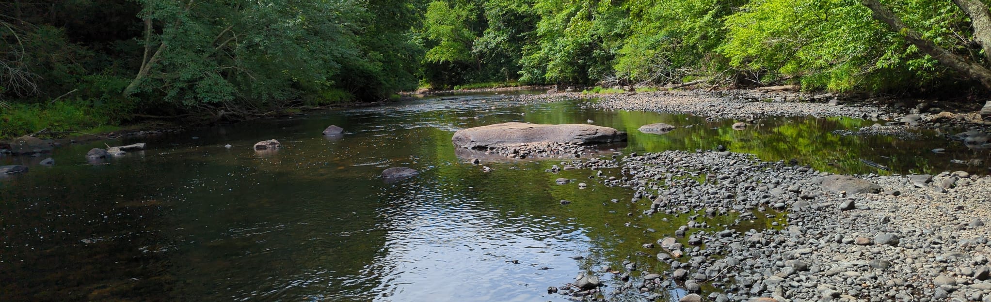 King Riverside Conservation Area and Nedwied Conservation Area Trail ...