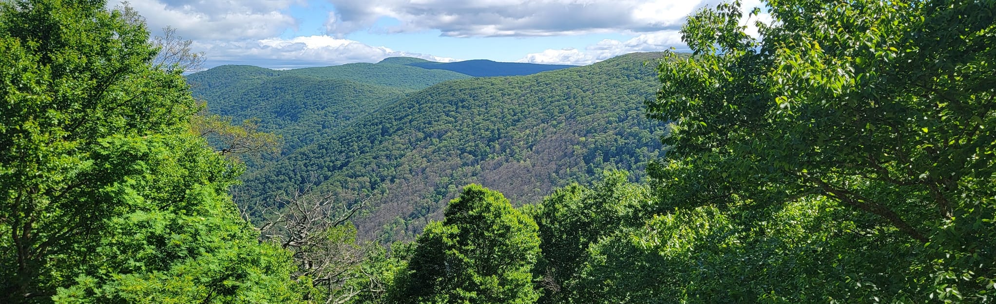 Hawksbill Summit via Appalachian Trail, Virginia - 571 Reviews, Map ...