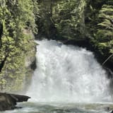 Upper Priest River Trail, Idaho - 86 Reviews, Map | AllTrails