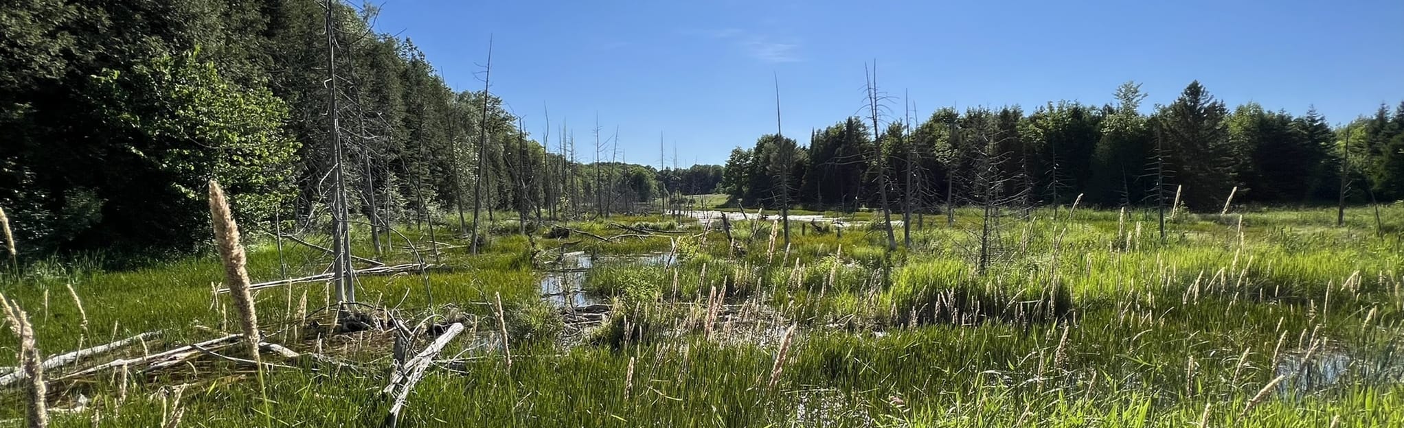 The Glen Trail: 146 fotos - Ontario, Canada | AllTrails