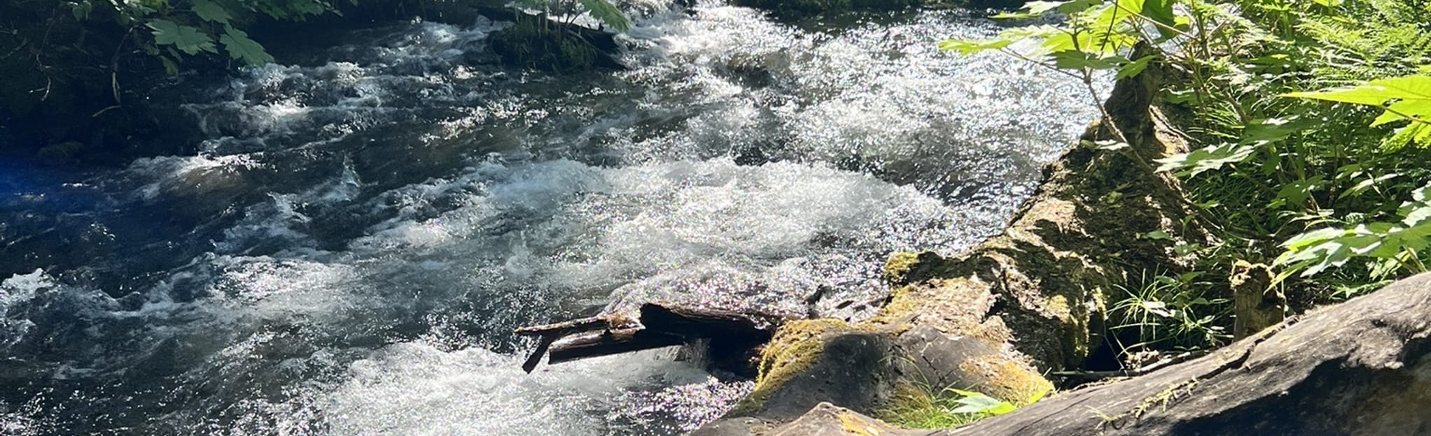 Tank Trail, Alaska - 111 Reviews, Map | AllTrails