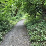 Tickle Creek Trail, Oregon - 294 Reviews, Map | AllTrails