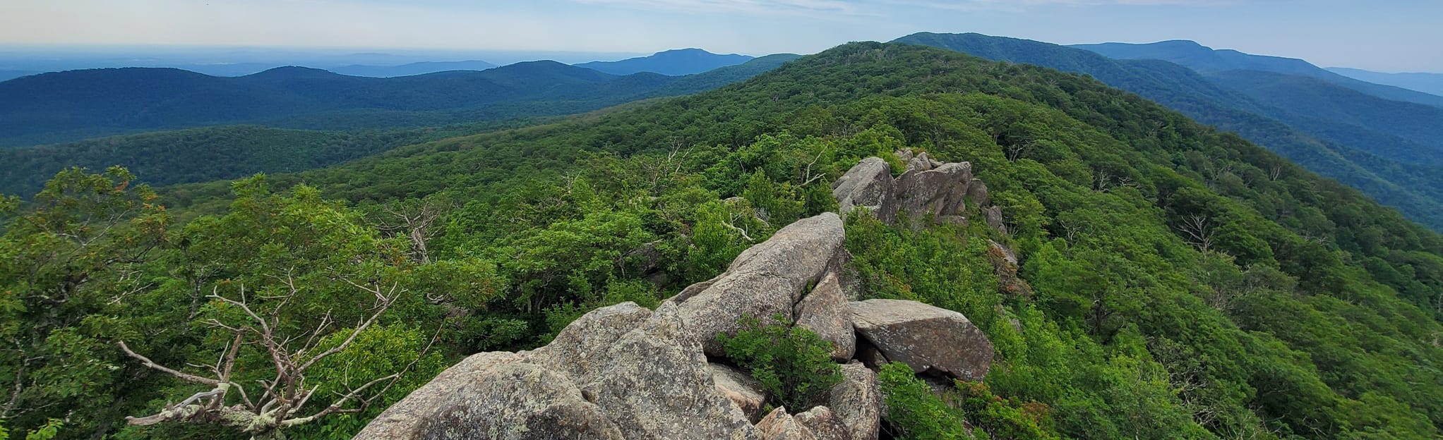 Meadow Spring Trail: 92 Reviews, Map - Virginia | AllTrails