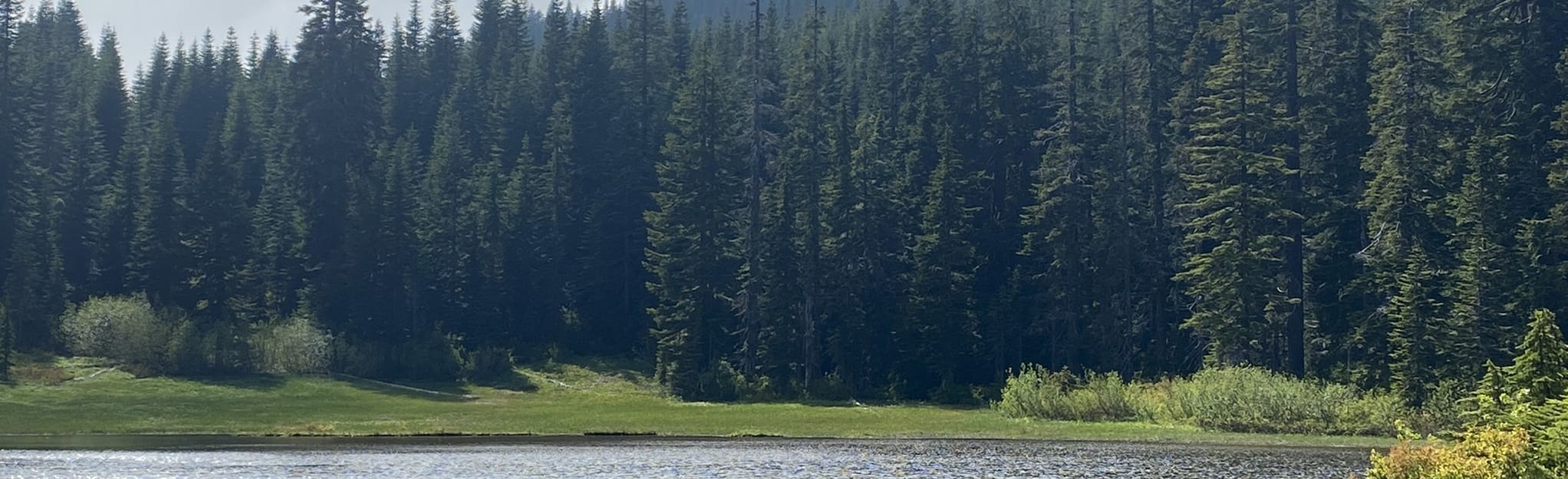 Hyak Creek to Nordic Pass Trail, Washington - 79 Reviews, Map | AllTrails