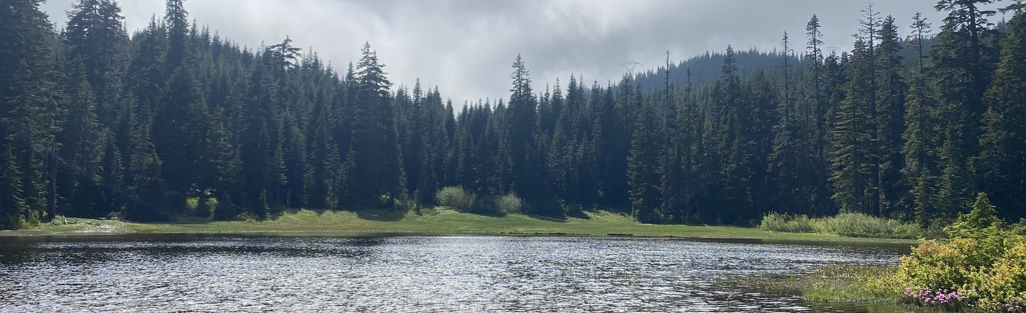 Hyak Lake and Surveyors Lake Loop, Washington - 20 Reviews, Map | AllTrails