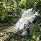 Decew Falls Loop, Ontario, Canada - 303 Reviews, Map | AllTrails