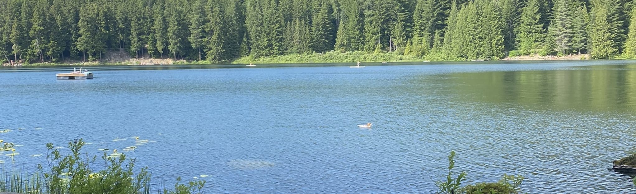 Lost Lake Nature Trail: 265 Reviews, Map - British Columbia, Canada ...