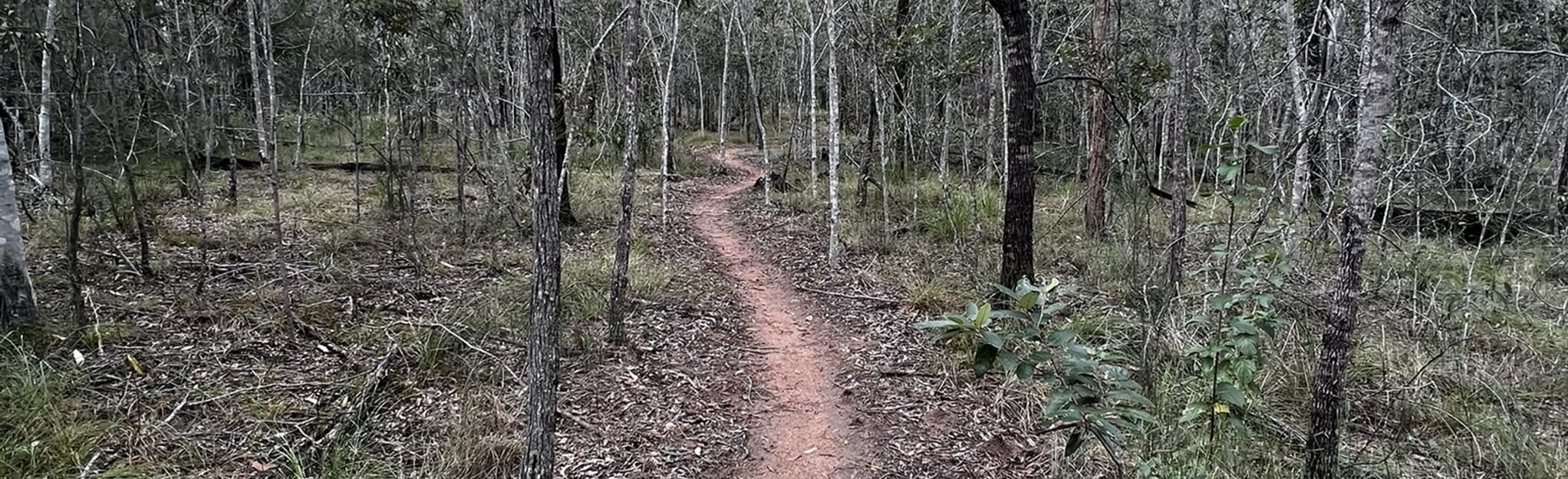 Ironbark Trail via Barking Owl and Start Straight, Queensland ...