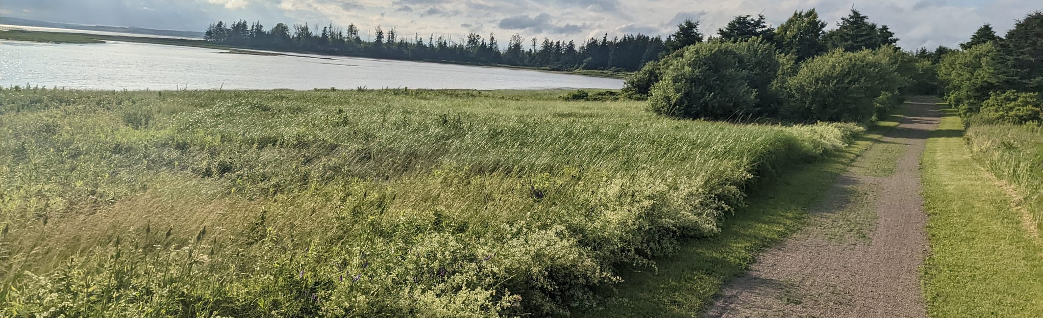 Cavendish Beach Trail to Homestead Trail Loop: 63 Reviews, 96 Photos ...